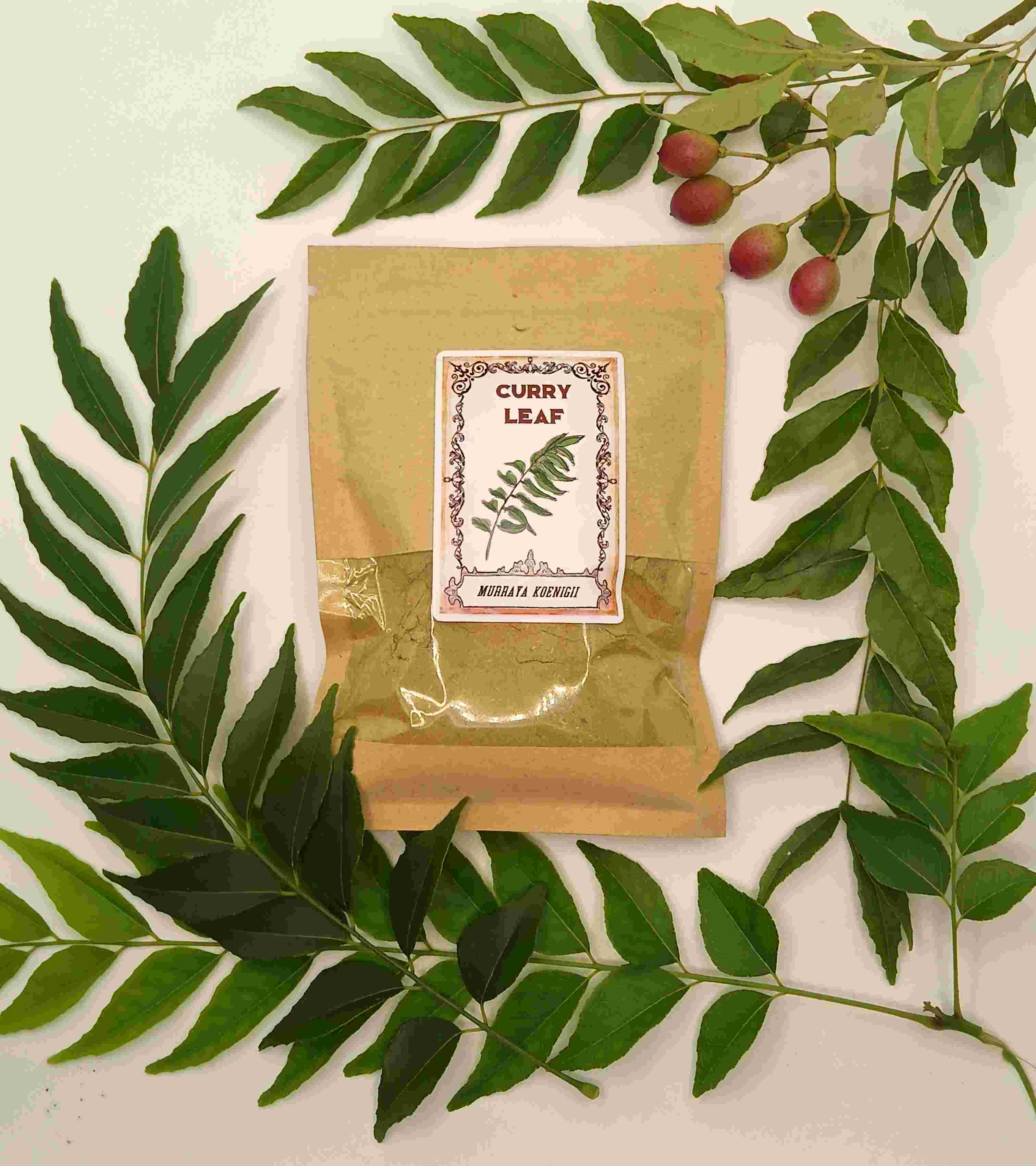 Curry Leaf Powder – Farm Emporium